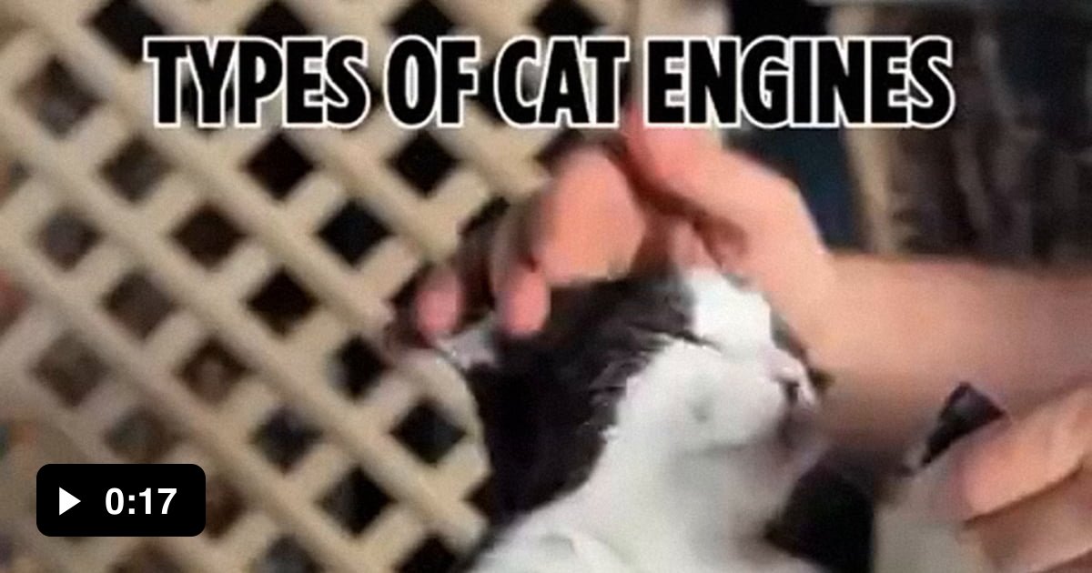 Types of cat engines - 9GAG