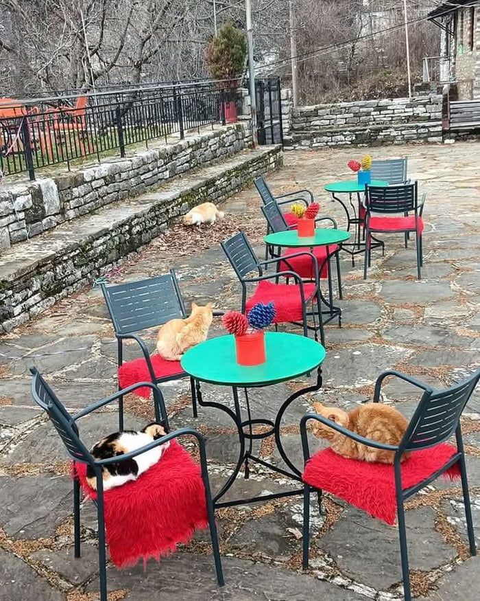 Zagori region, mountainous Greece: Tourists on a coffee break - 9GAG