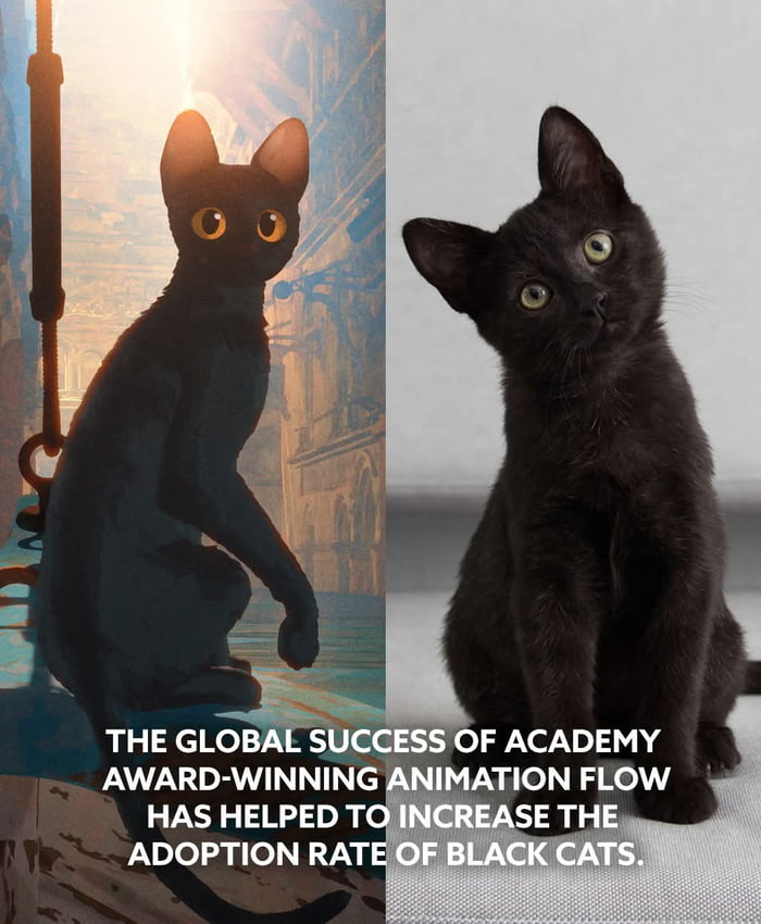 Misconception of black - 9GAG