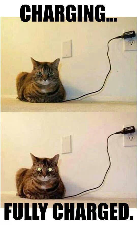 Don't forget to charge your cat - 9GAG