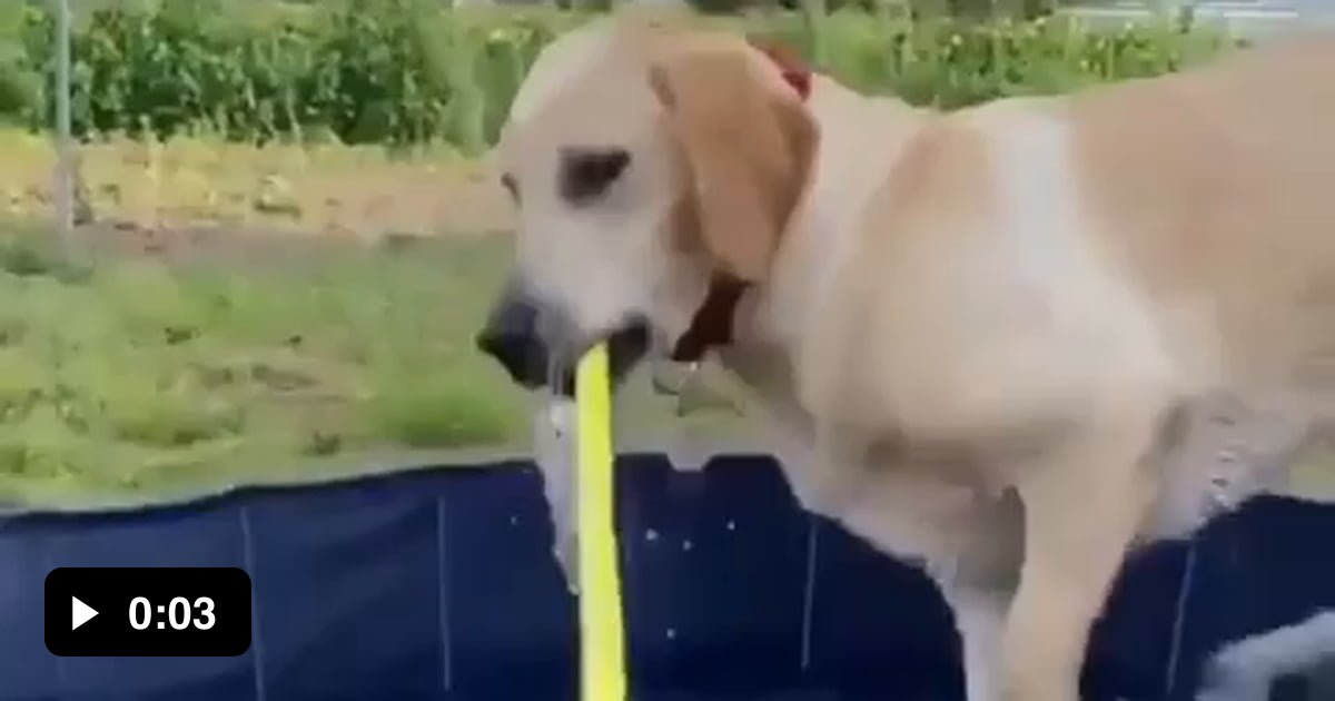Trying to Grab A Hold, Only to Fall Over! - 9GAG