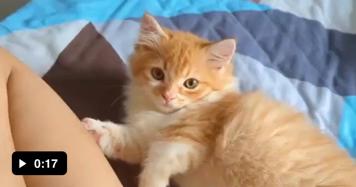 Smol potato making bread - 9GAG