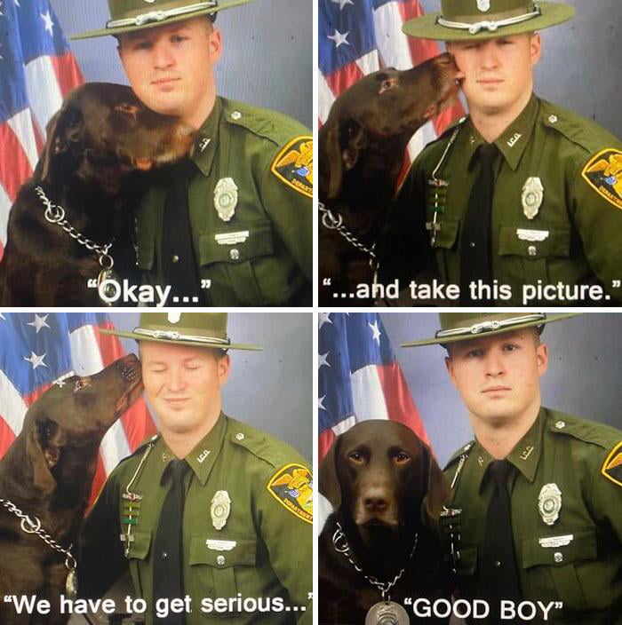 Good boi - 9GAG