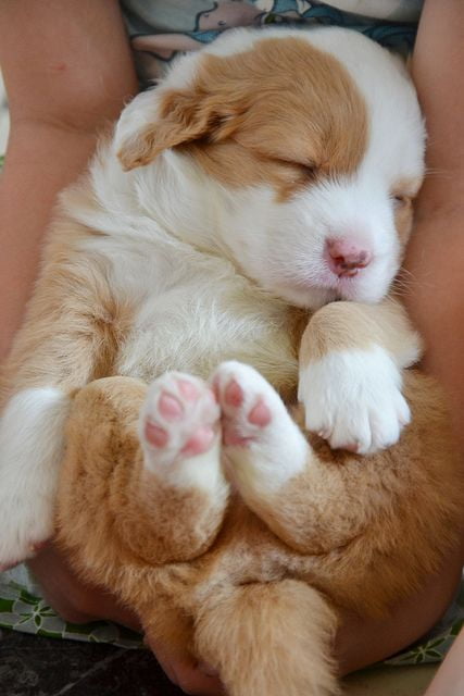 Sleeping angel - 9GAG