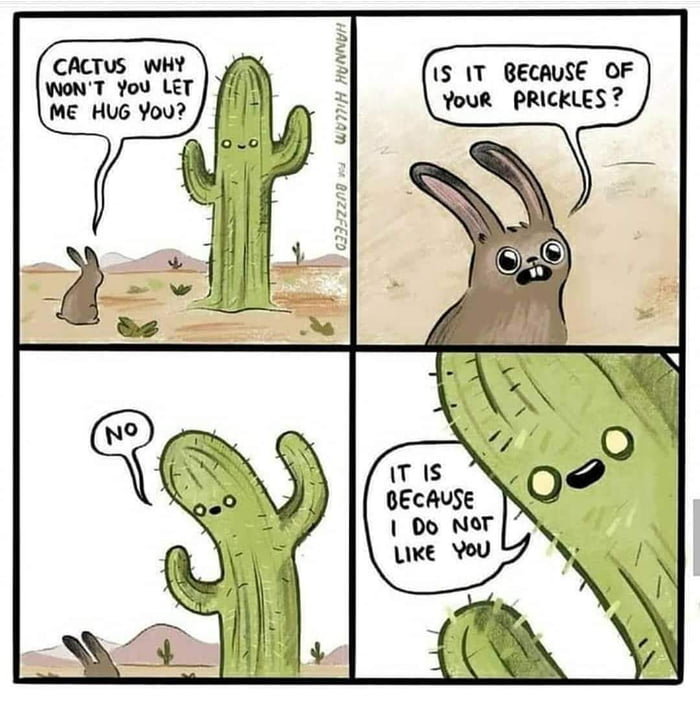 Cactus - 9GAG