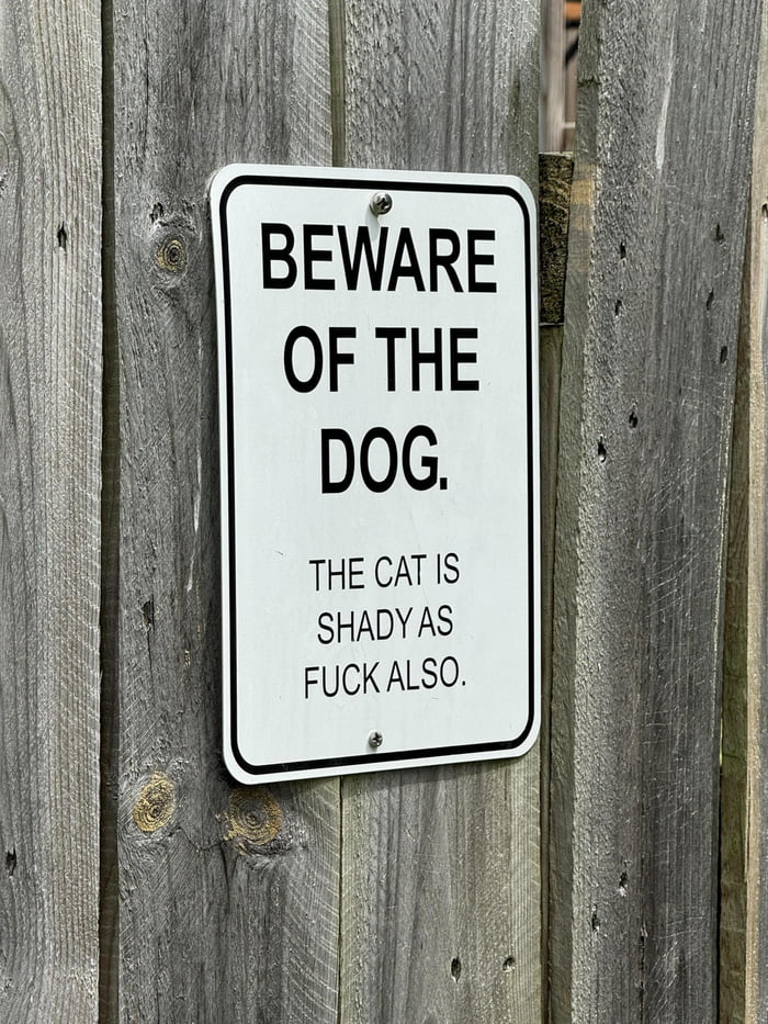 Beware of the cat - 9GAG