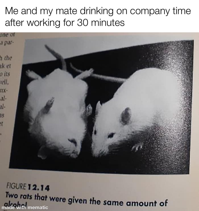 Still just rats in a cage - 9GAG