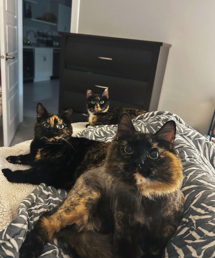 It’s the three amigos - 9GAG