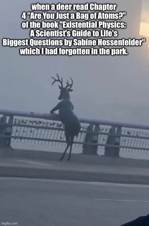 Existential Physics by Sabine Hossenfelder meme - 9GAG