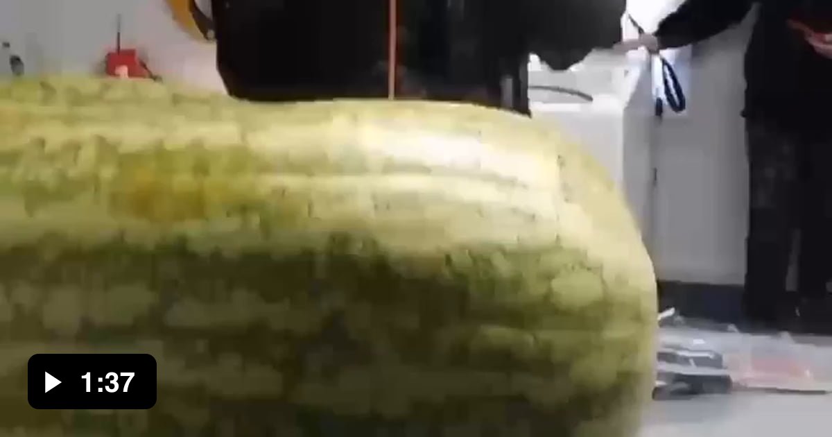 Of a melon (288 lbs) - 9GAG