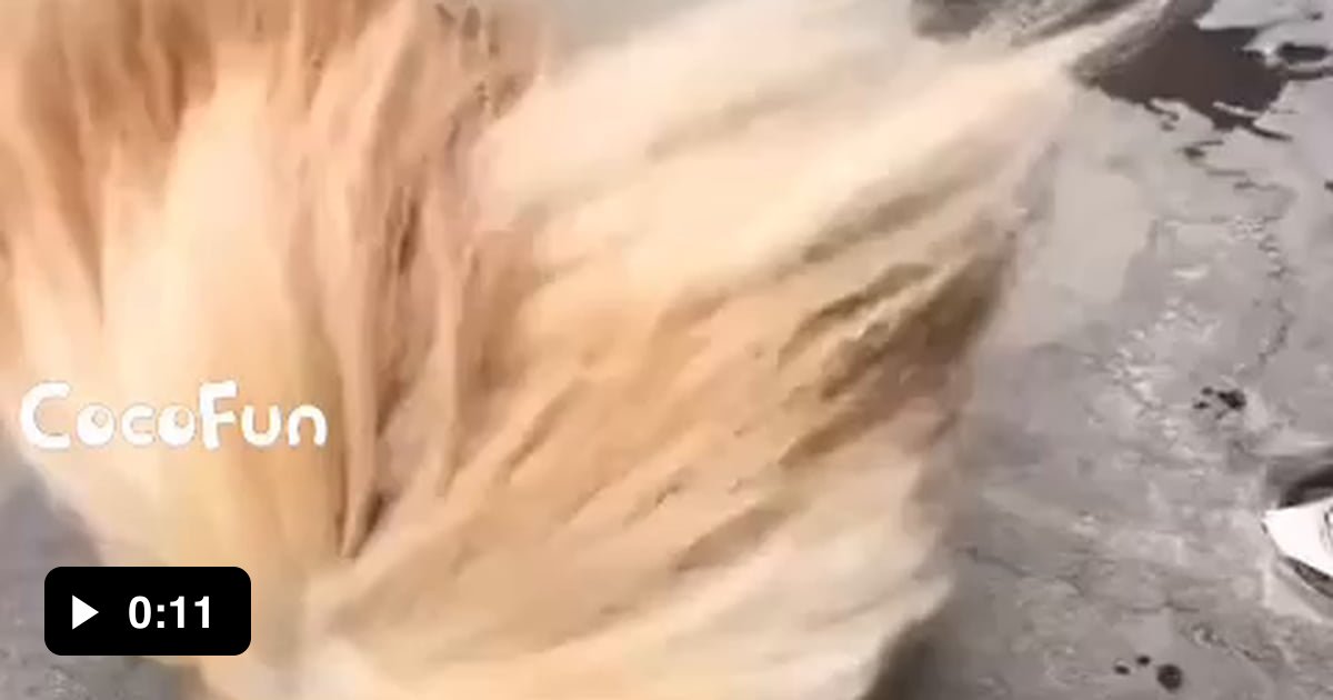 Wind is too heavy - 9GAG