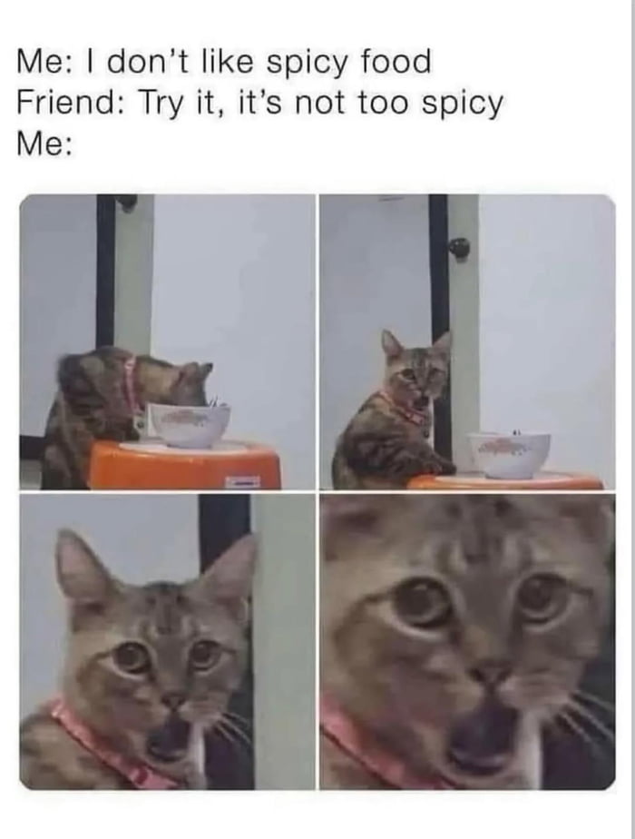 My face after trying my friend's "not too spicy" food - 9GAG
