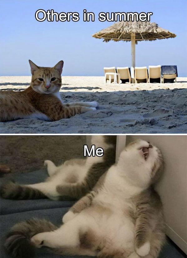 Mid Summer enjoyment - 9GAG