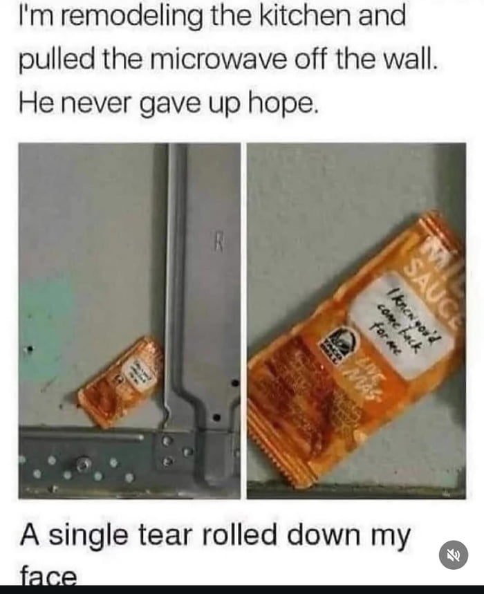 Found this little guy waiting patiently behind the microwave during the kitchen remodel. Never ...