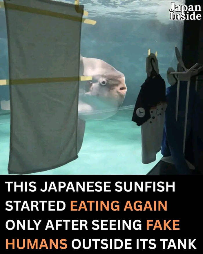 Also 9gaggers start sharing tities to make OP happier - 9GAG