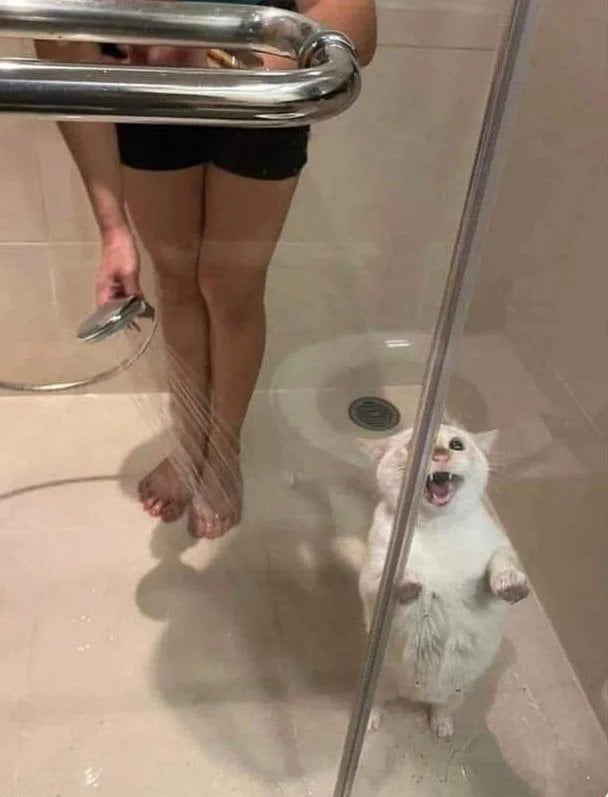 Water is very effective! - 9GAG