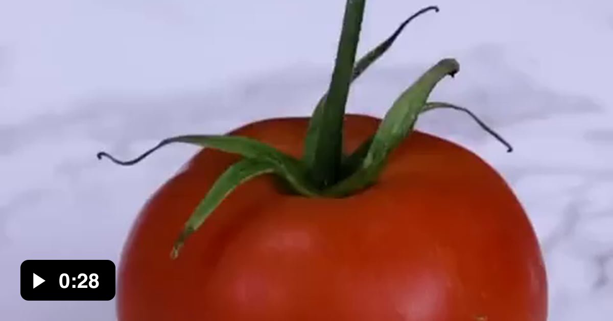 Time-lapse of a tomato rotting and sprouting - 9GAG