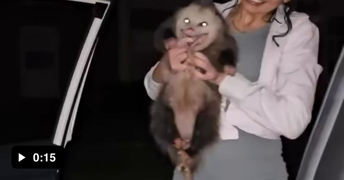 She: He's so friendly - 9GAG