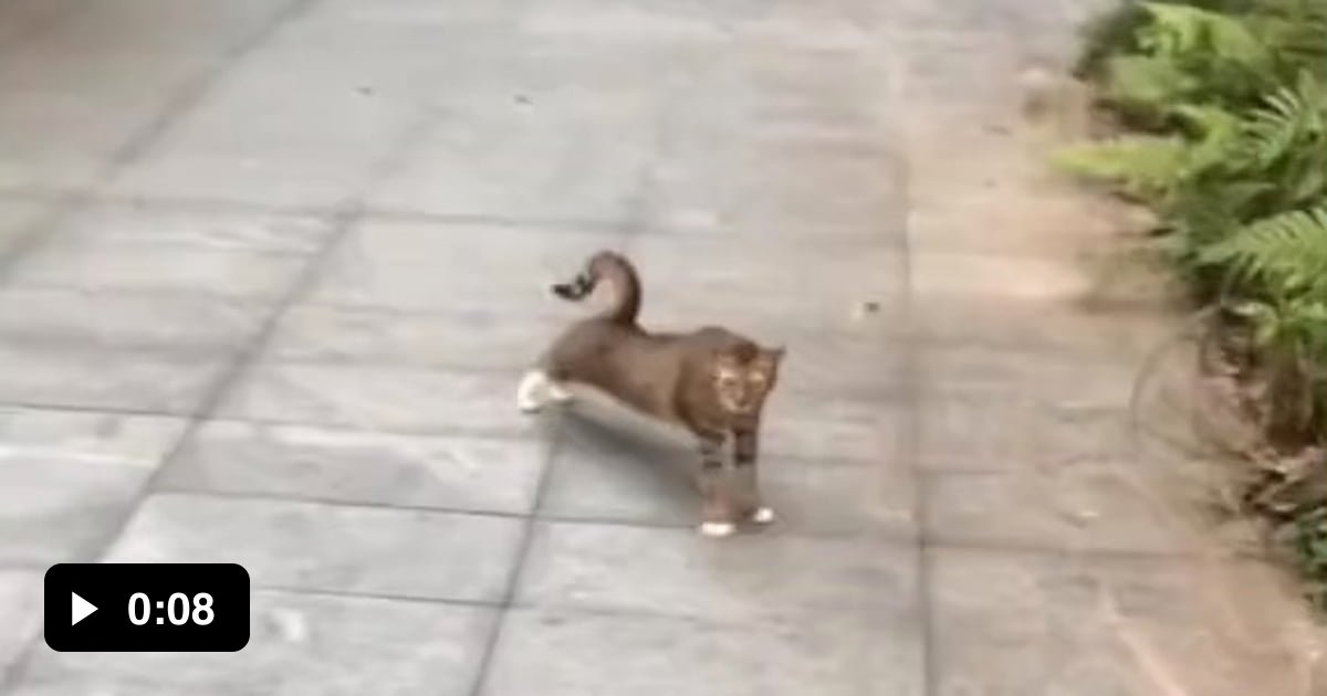 Overspawn Glitch - 9GAG