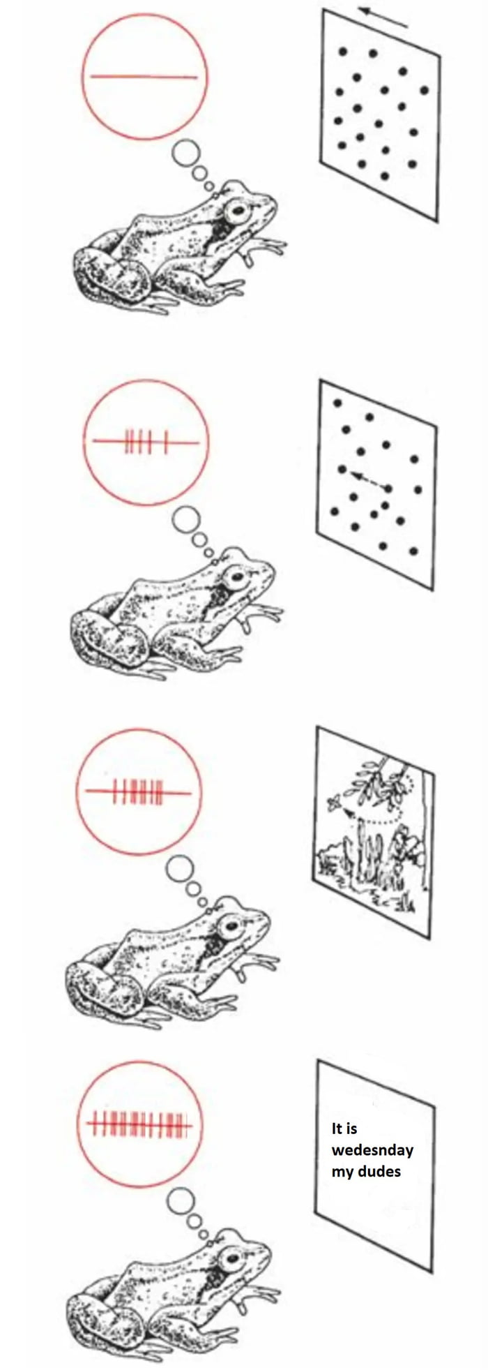 Neuron activation - 9GAG