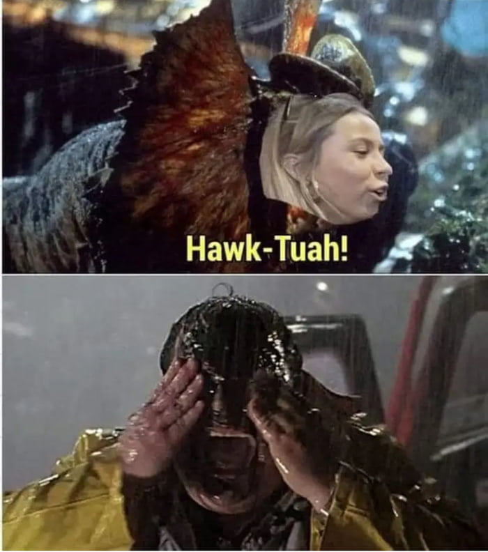 Another hawk tuah meme - 9GAG
