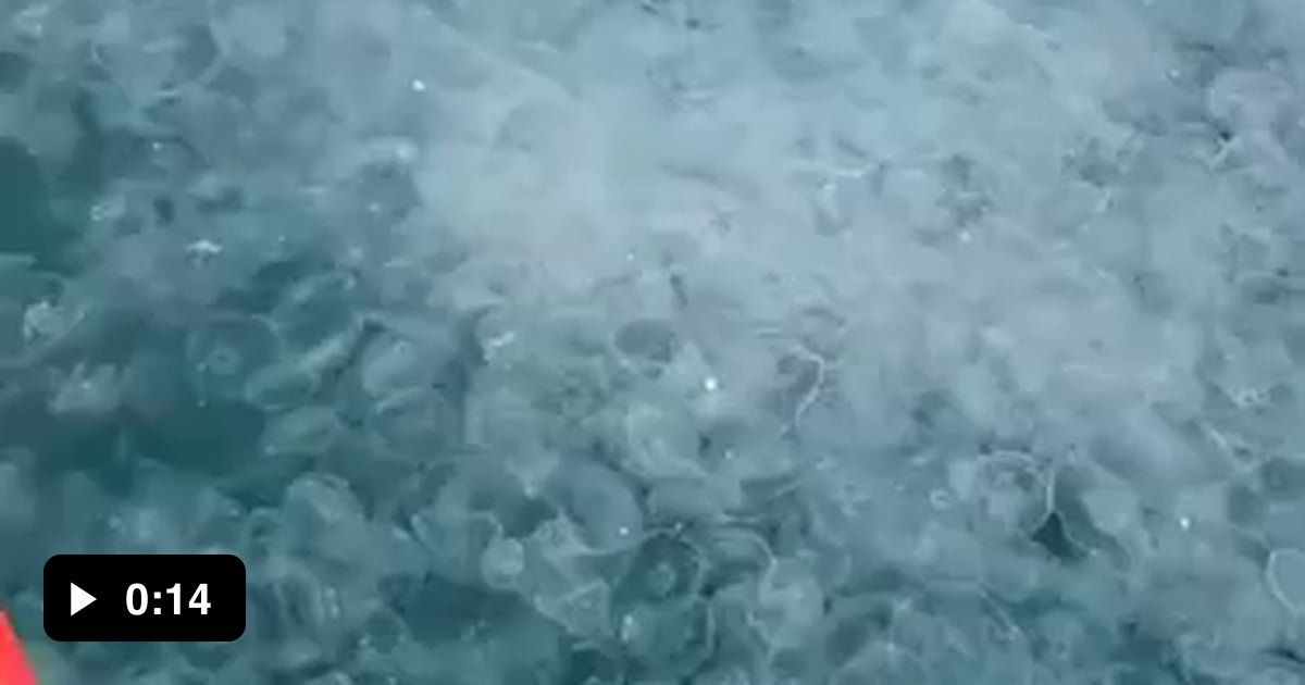 They Are Ready 9gag