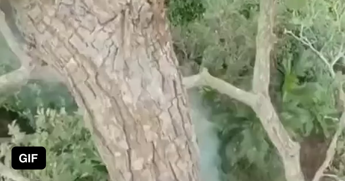 Well... fck... - 9GAG