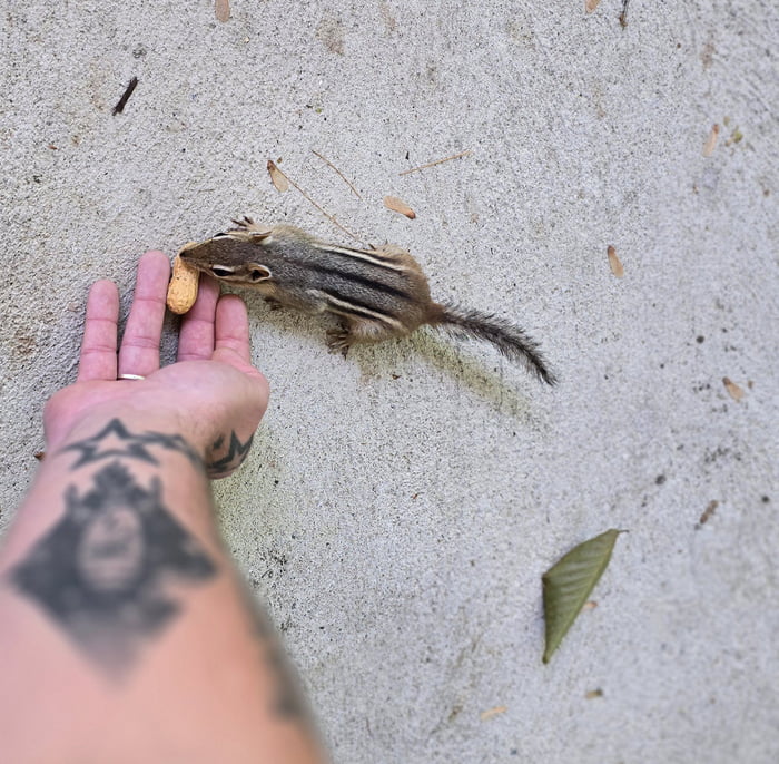 Snacky Snacky - 9GAG