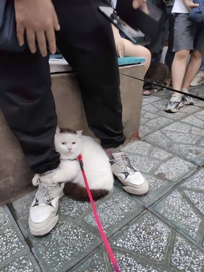 He Is Shy 9gag