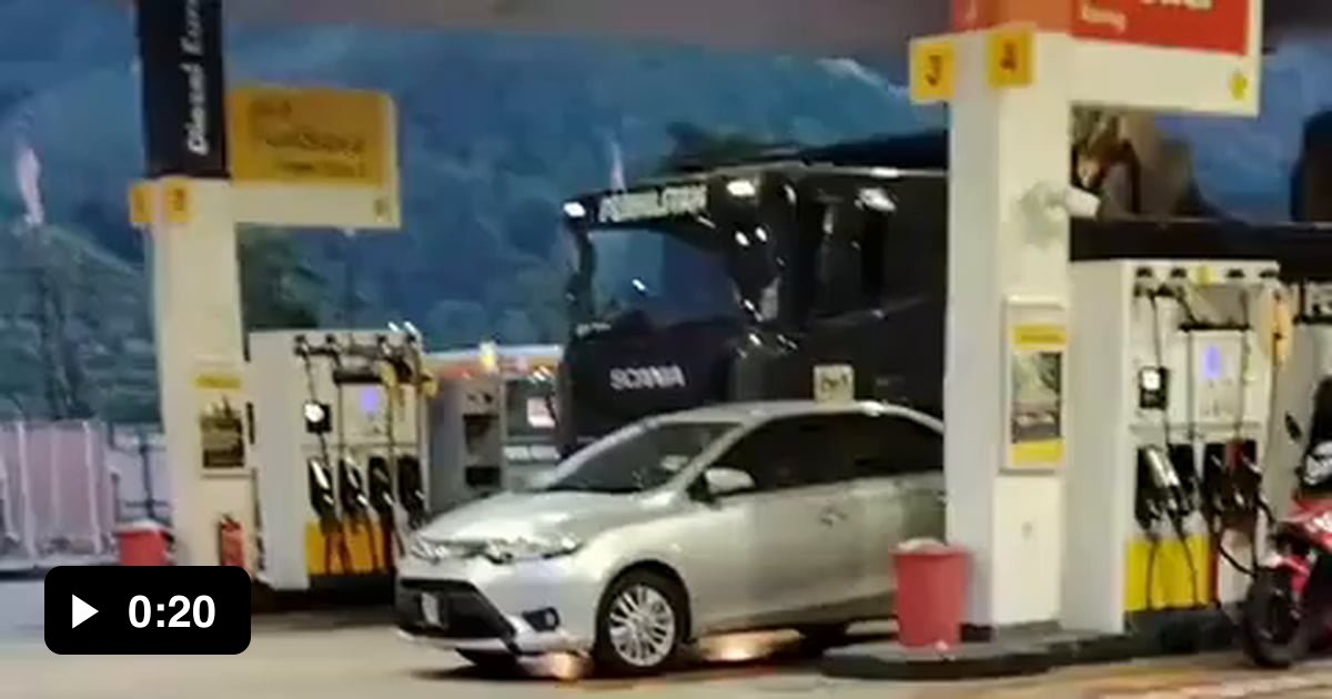Elephants in open back truck at a gas station - 9GAG