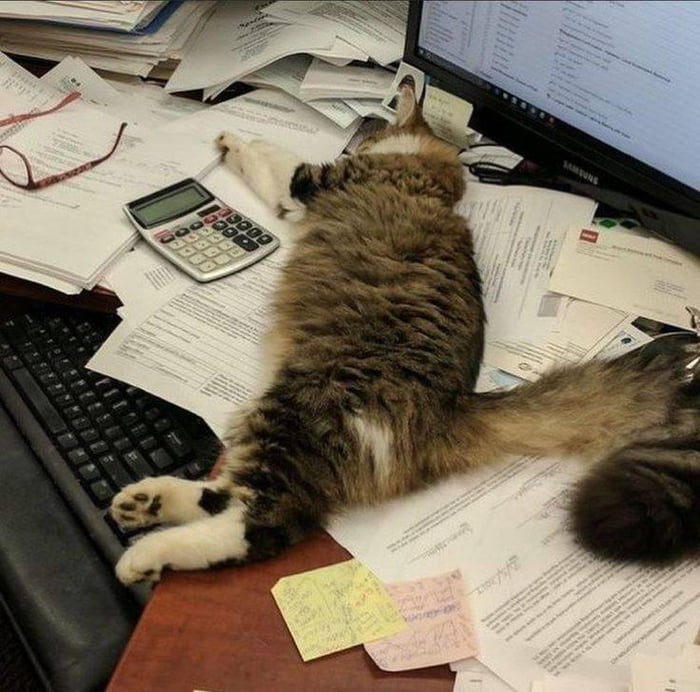 He's way too tired of these numbers. - 9GAG