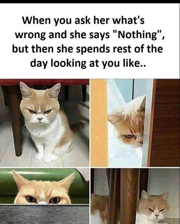 Nothings wrong - 9GAG