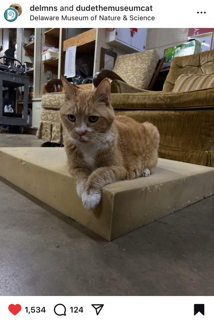 In Memory: Museum Employee - 9GAG