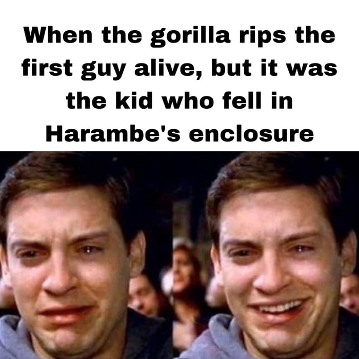 Timeline fixes itself - 9GAG