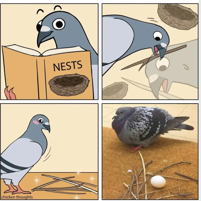 Both Indonesian and pigeon are lazy creatures - 9GAG