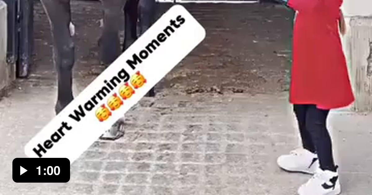 Respect for this guard - 9GAG