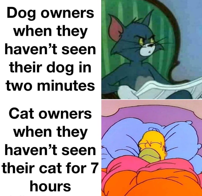 Yeah he’s around here somewhere - 9GAG