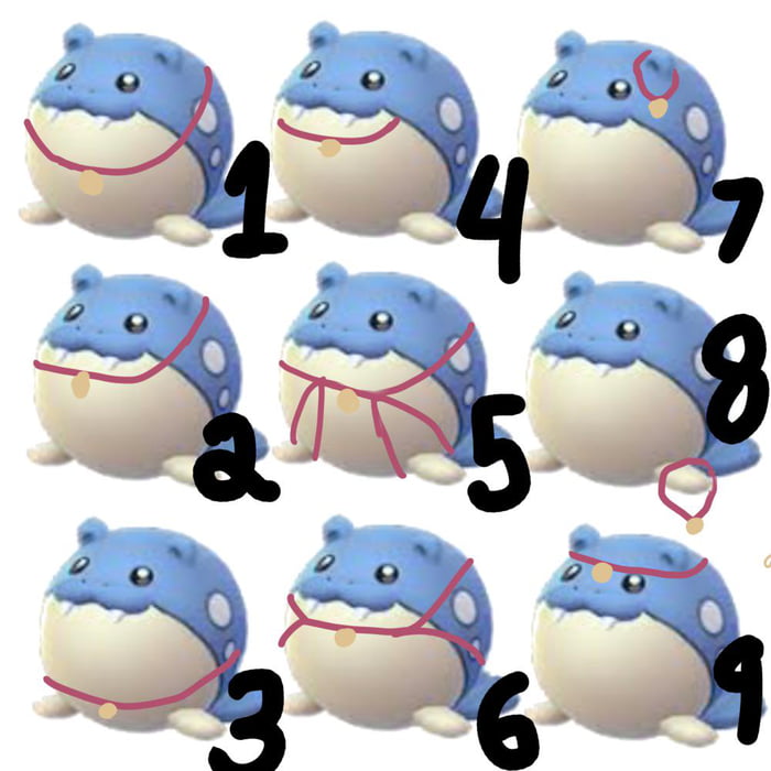 Spheal Wearing a Collar - 9GAG