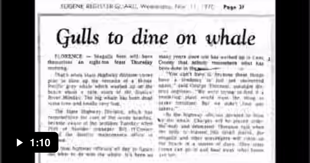 1970, Oregon - half a ton of dynamite -8-ton whale - 9GAG