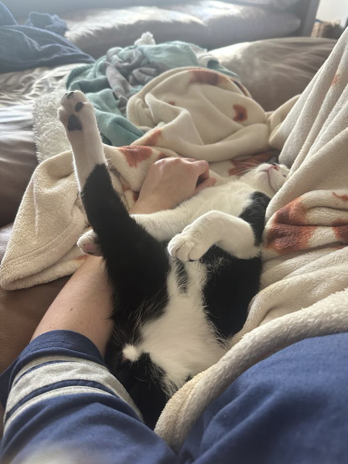 Someone partied a little too hard - 9GAG