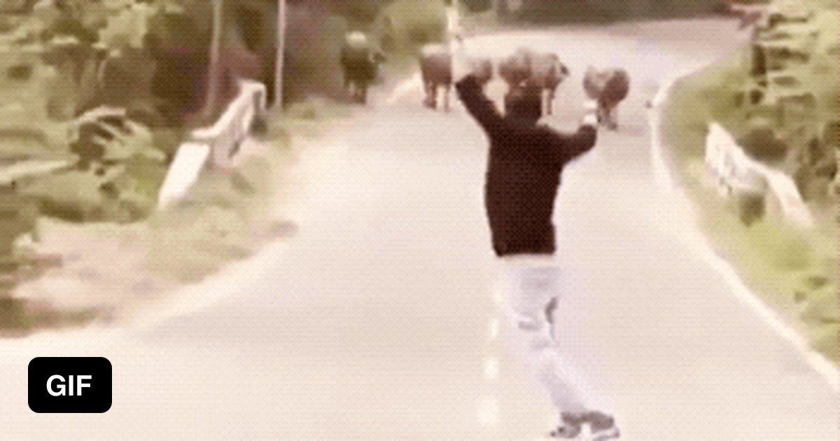 That was a close call! - 9GAG