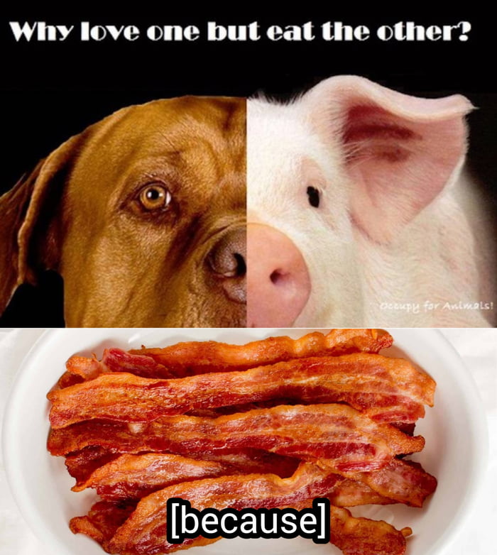 Because bacon - 9GAG