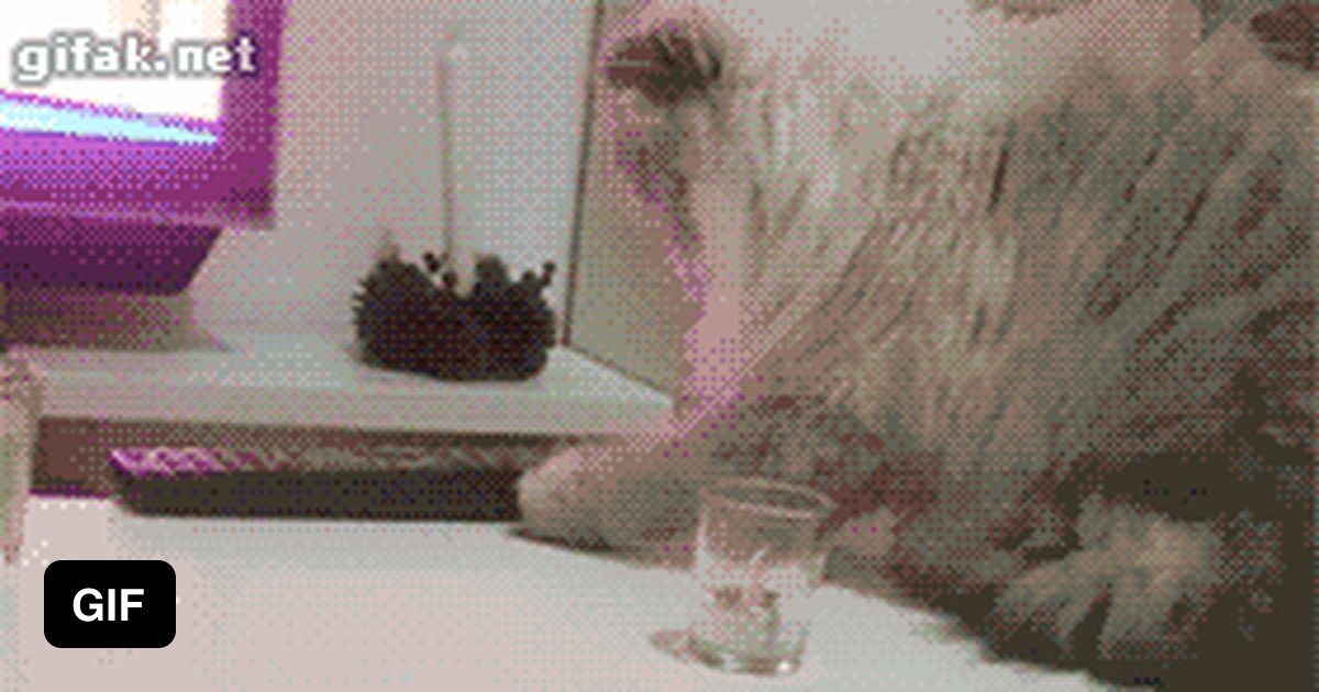 Cat is a liquid - 9GAG