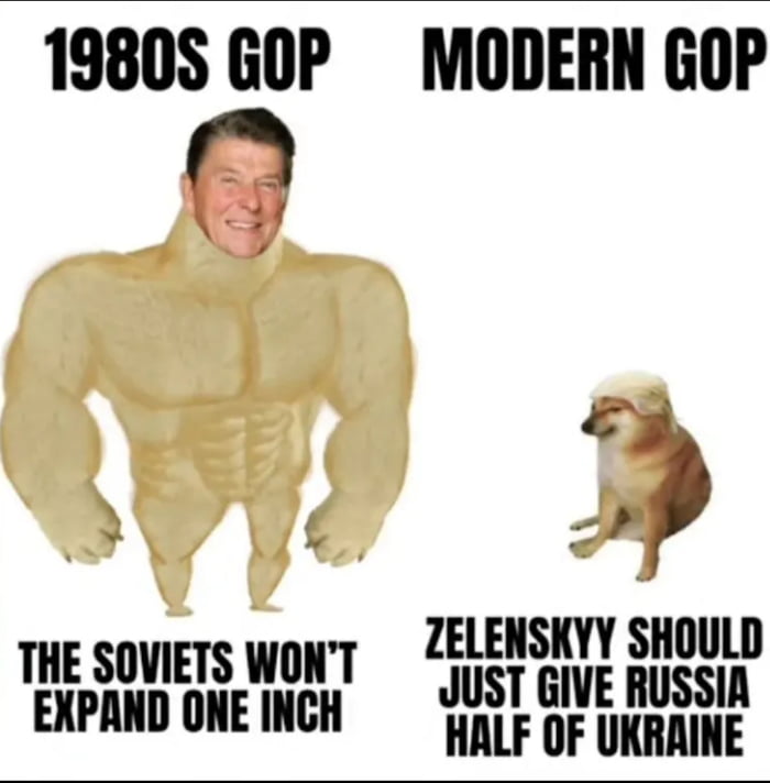 Look what they did to my boy - 9GAG