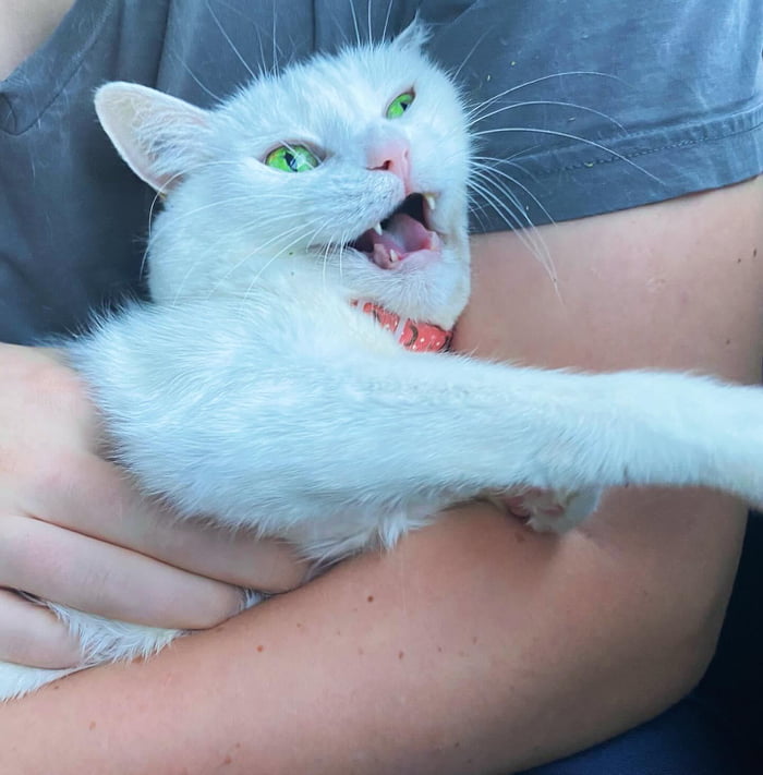 Unhand me, father! - 9GAG