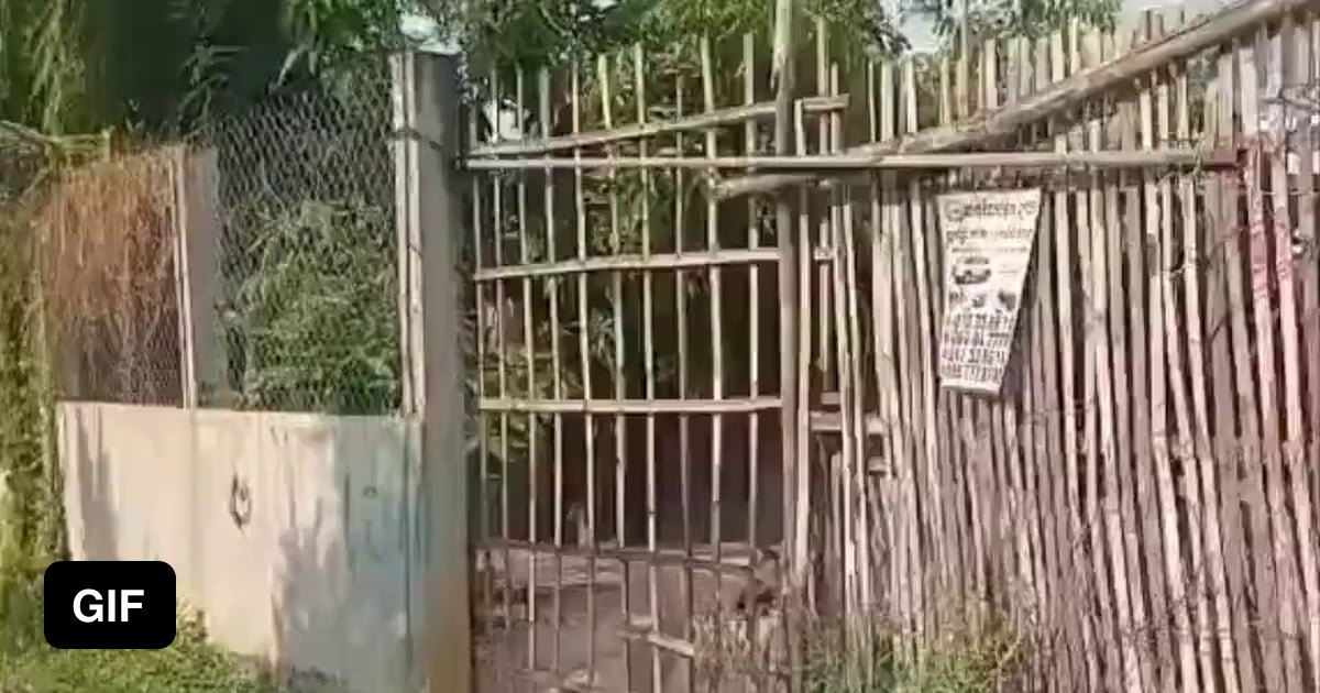 Two types of dog - 9GAG