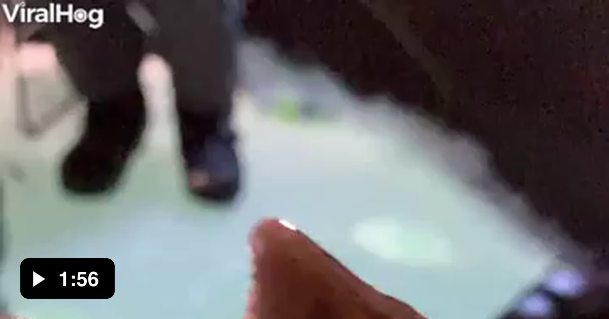 Overinflated Trout Needs to Burp - 9GAG