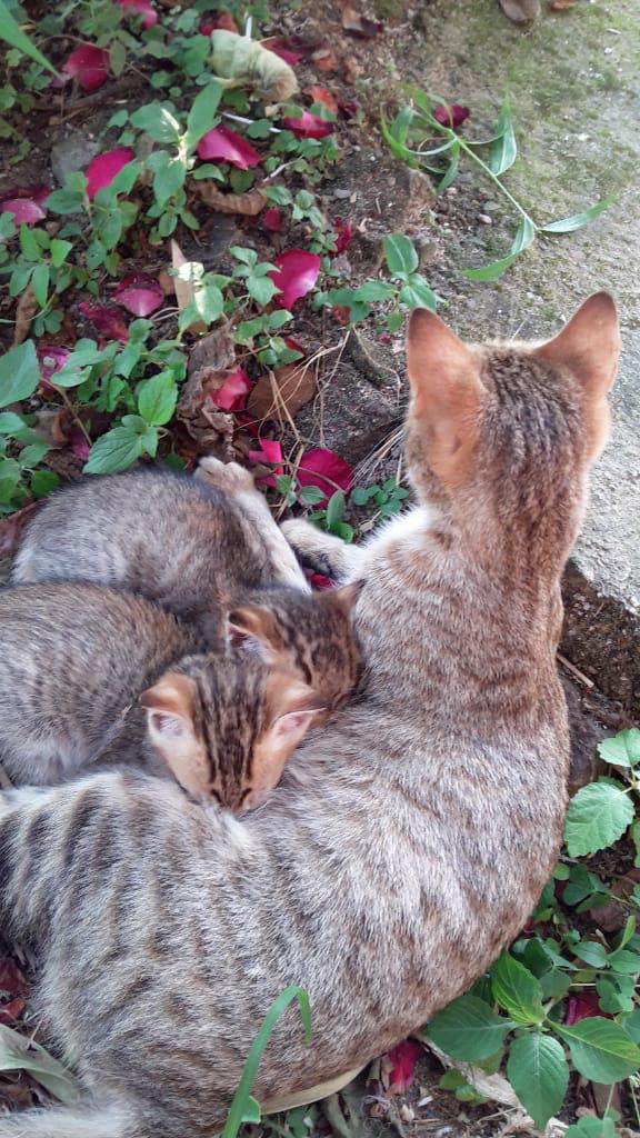 Pure love in its simplest form. - 9GAG