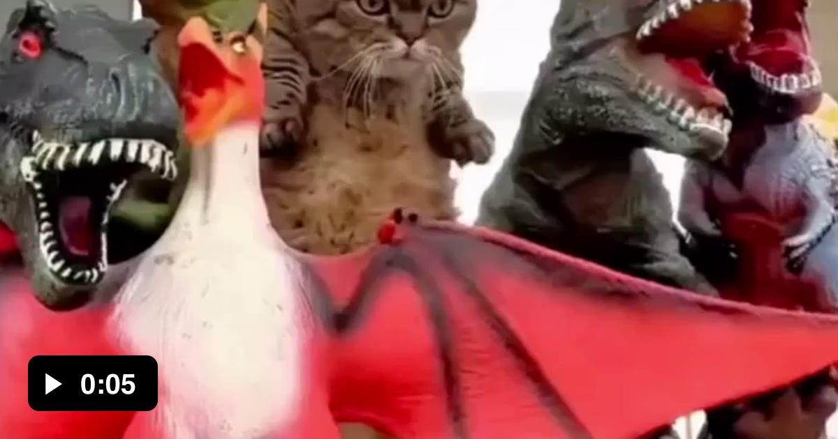 Roaring kitty 🦖 - 9GAG