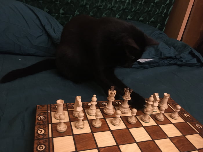 Want some chess? - 9GAG